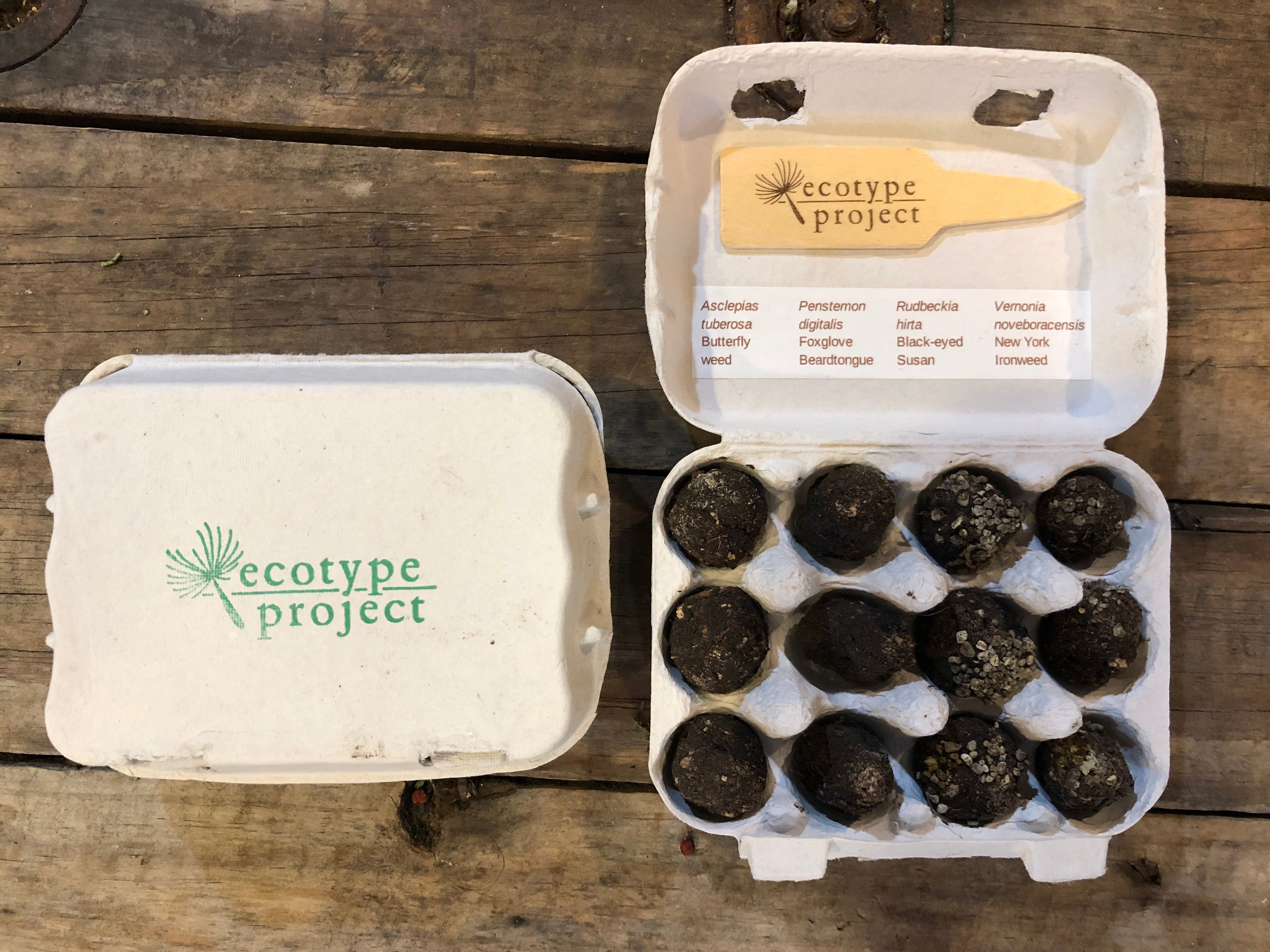 Seed Bombs - eco59 wildflower seed | Northeast Seed Collective